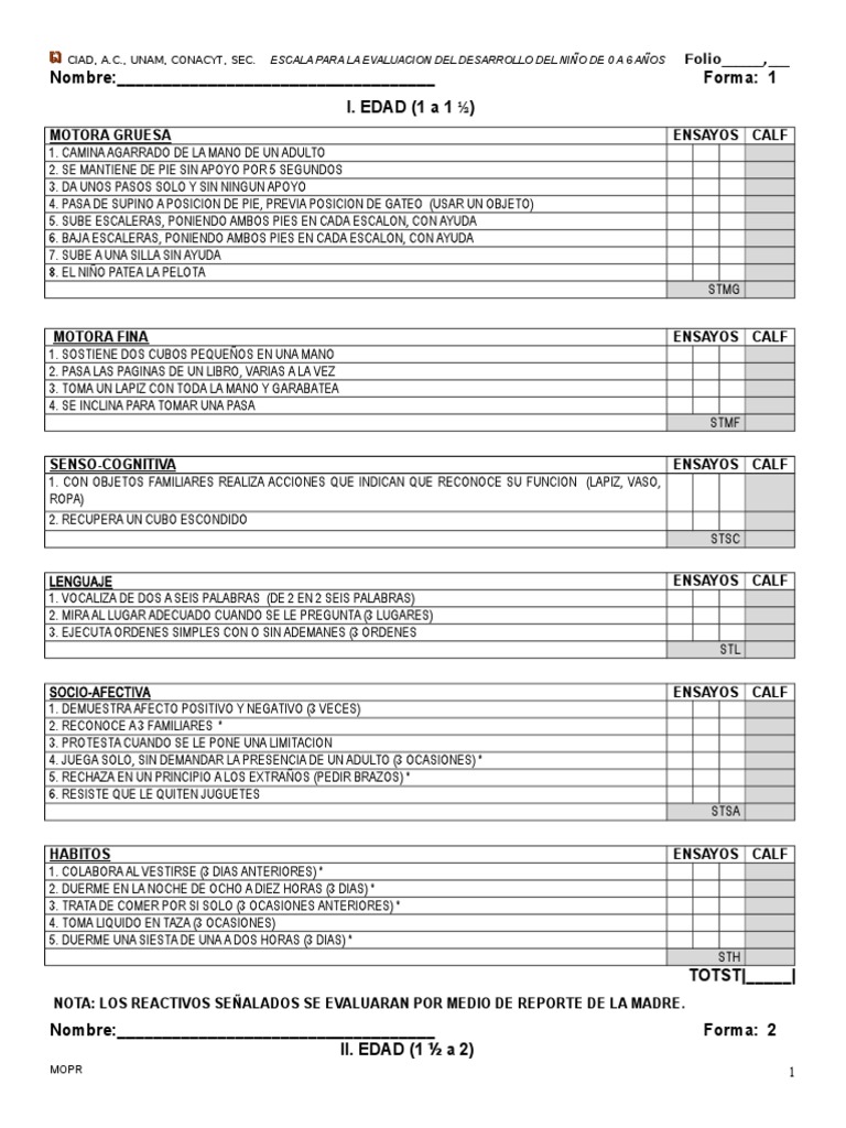Escala de Desarrollo Integral (Edin) 1 A 4años | PDF