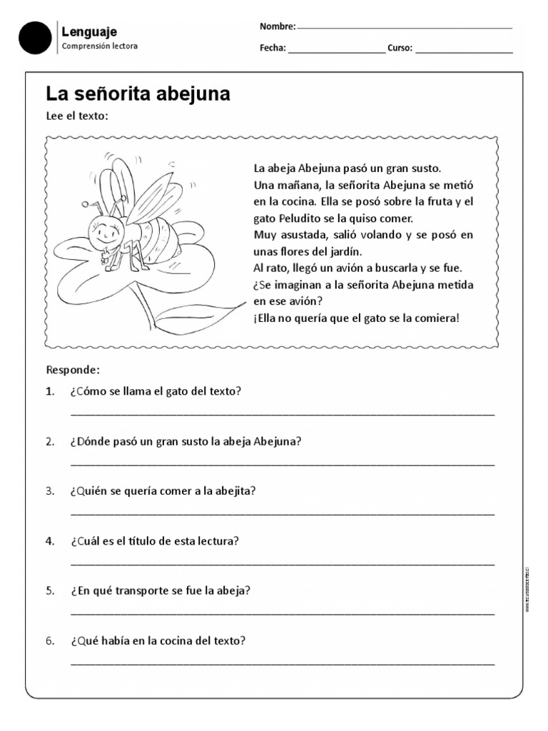 La señorita Abejuna: Lectura y Comprensión | PDF