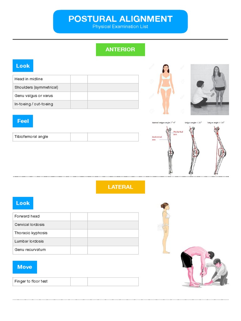 Postural Alignment: Anterior | PDF