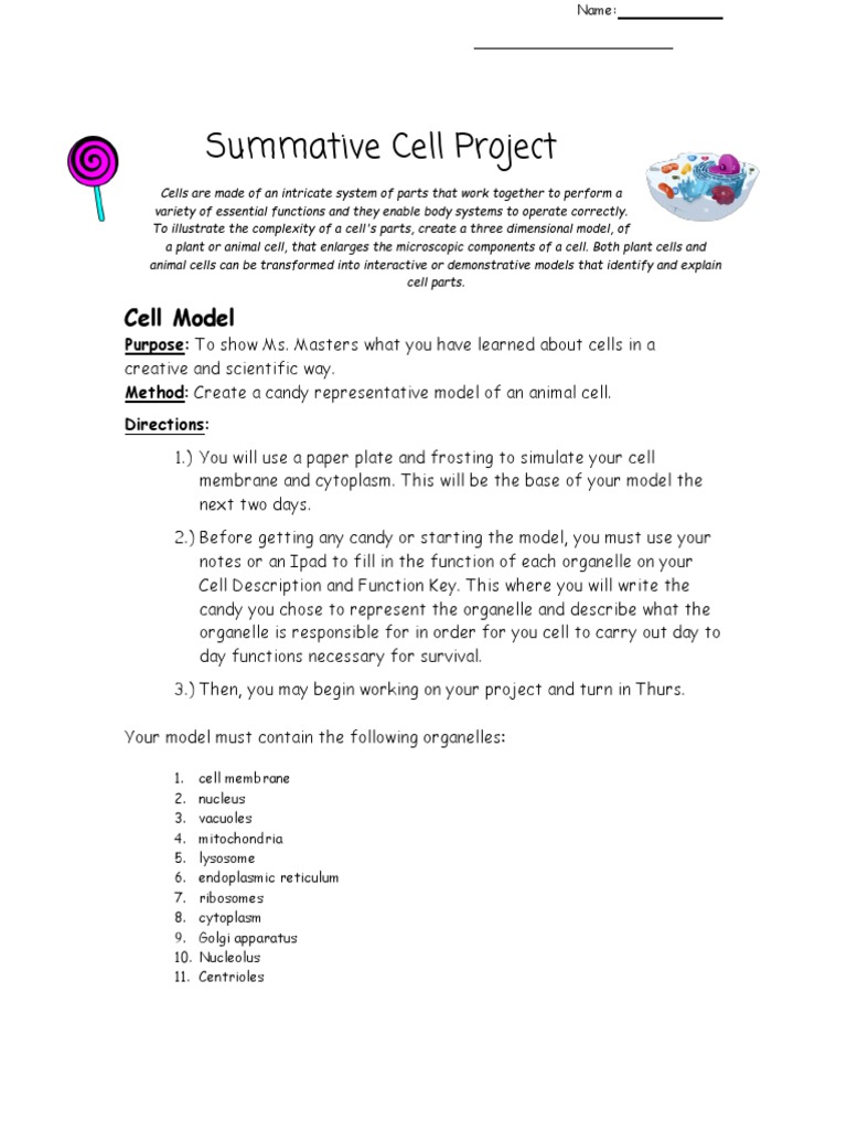 Candy Cell Project 3 | PDF | Cytoplasm | Endoplasmic Reticulum