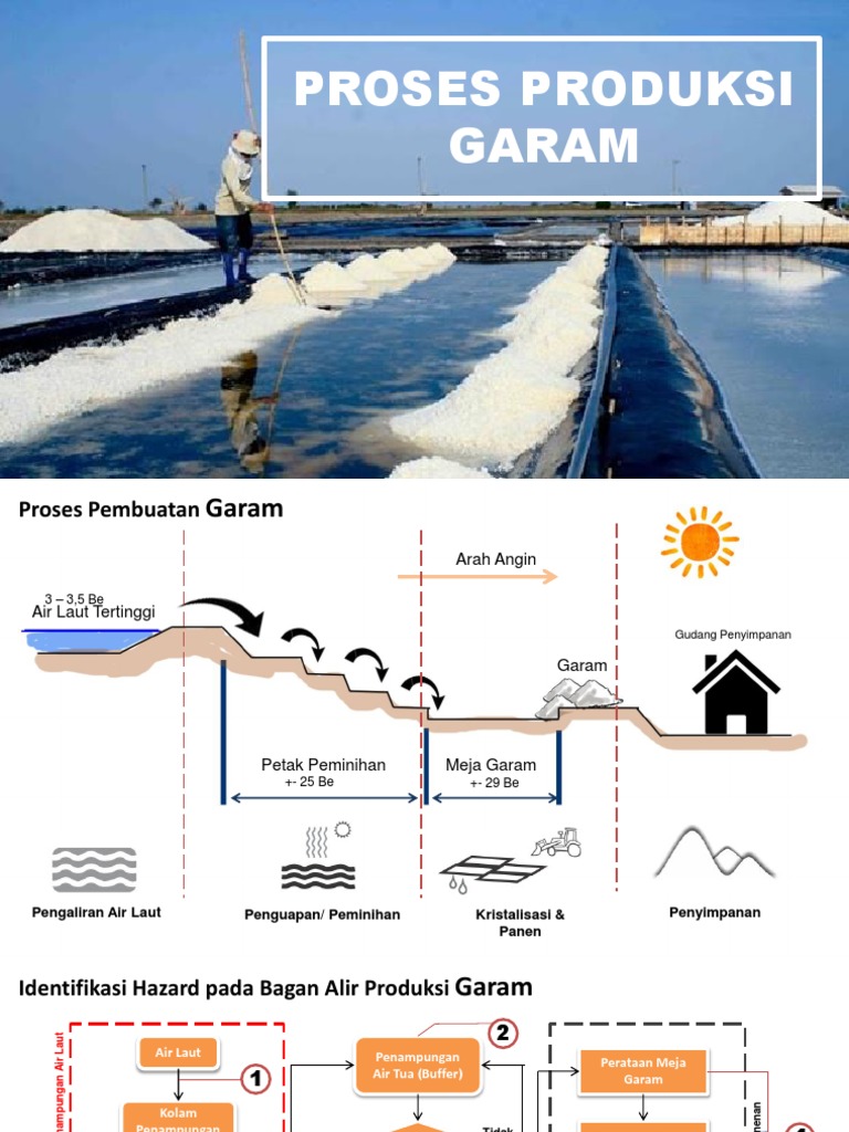Proses Produksi dan Kualitas Garam | PDF