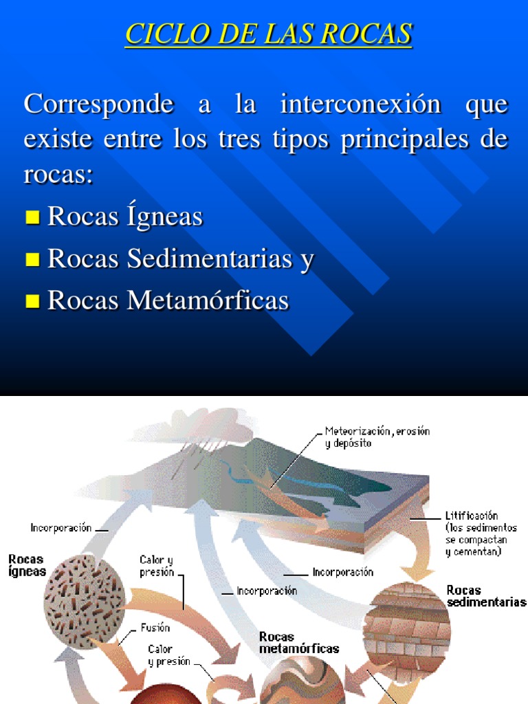 El Ciclo De Las Rocas ígneas Sedimentarias Metamórficas Biología