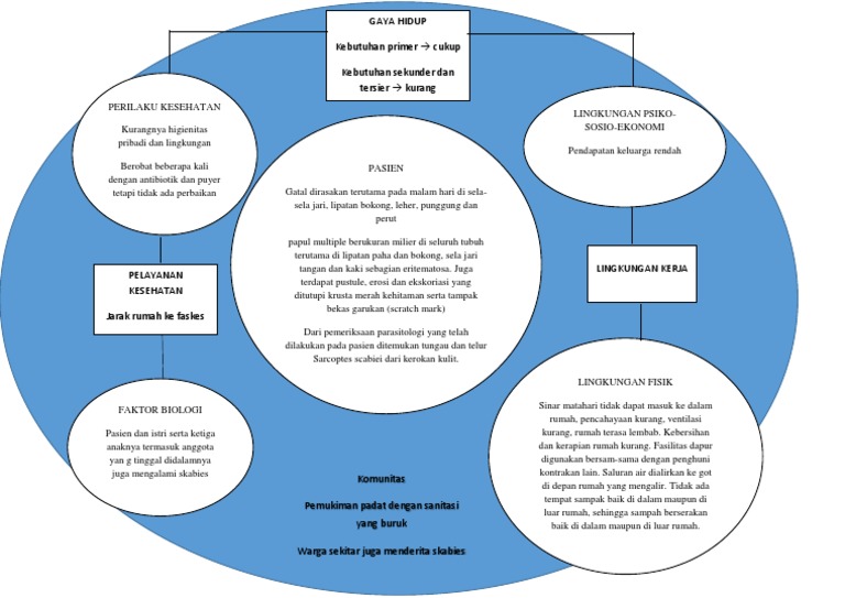 Mandala of Health Skabies | PDF