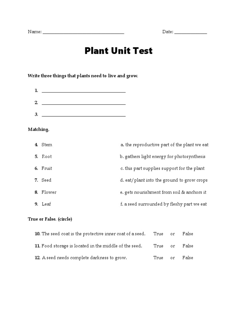 Plant Unit Test: Name: - Date | PDF | Science & Mathematics