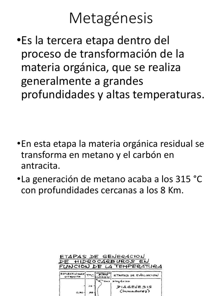 Metagénesis | PDF | Metano | Ciencias fisicas