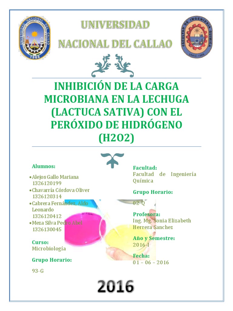 93g-1.inhibición de La Carga Microbiana en La Lechuga Con Peróxido de ...