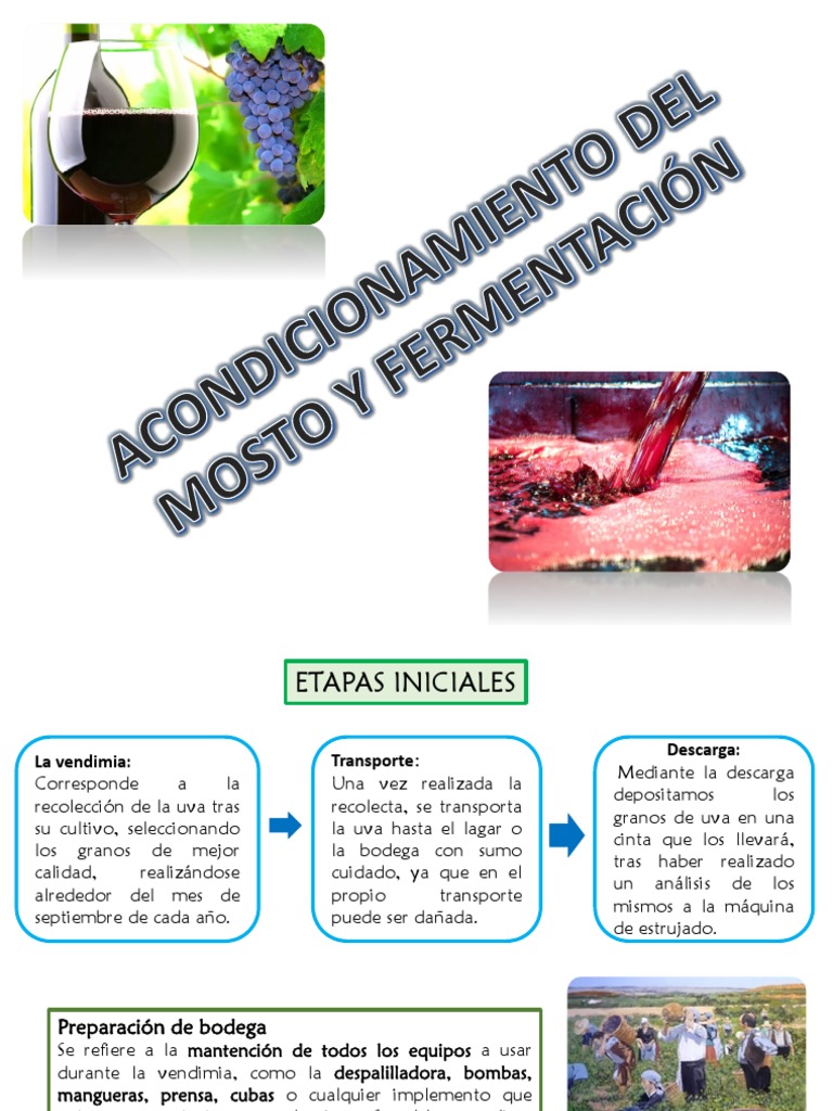 Acondicionamiento Del Mosto y Fermentación (Finalizado) | PDF | Vino ...