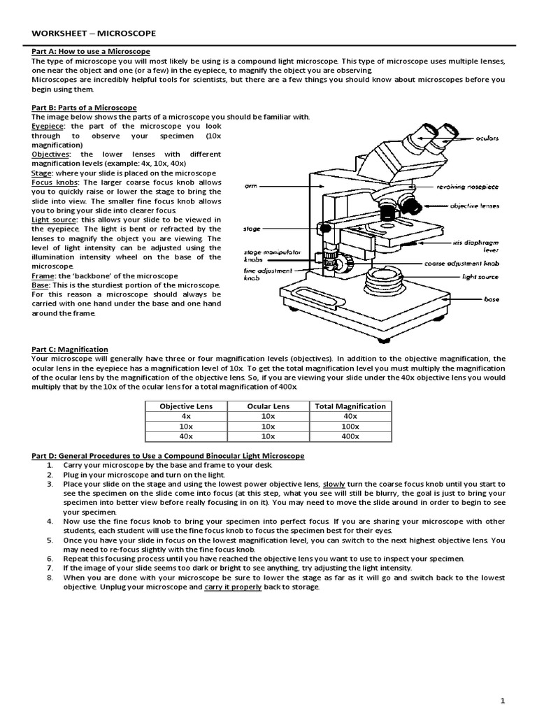 Worksheet - Microscope: Part A: How To Use A Microscope | PDF | Glass Applications | Glass ...