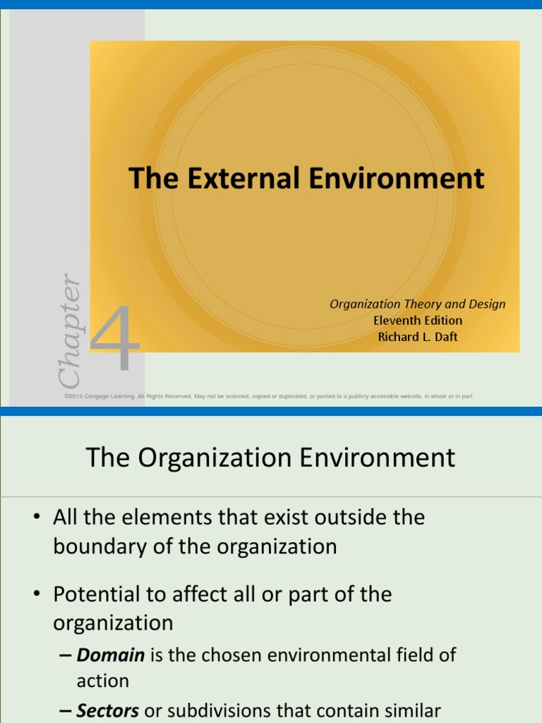 S4P The External Environment | PDF | Natural Environment | Business