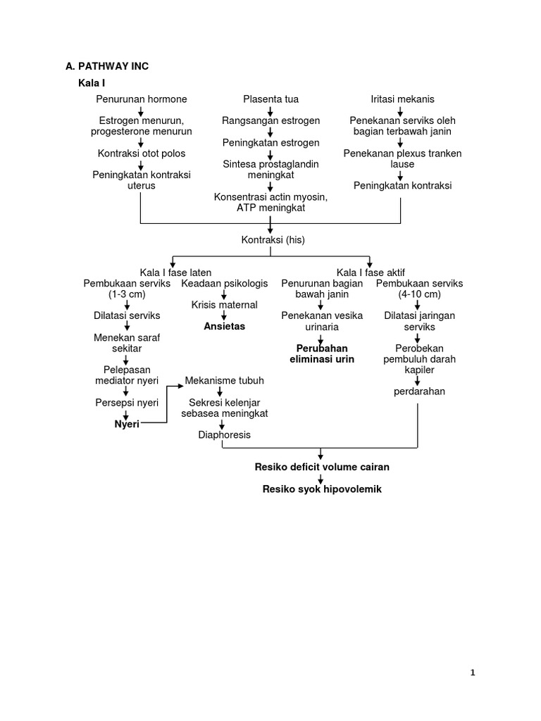 Pathway Inc, KB, PNC | PDF