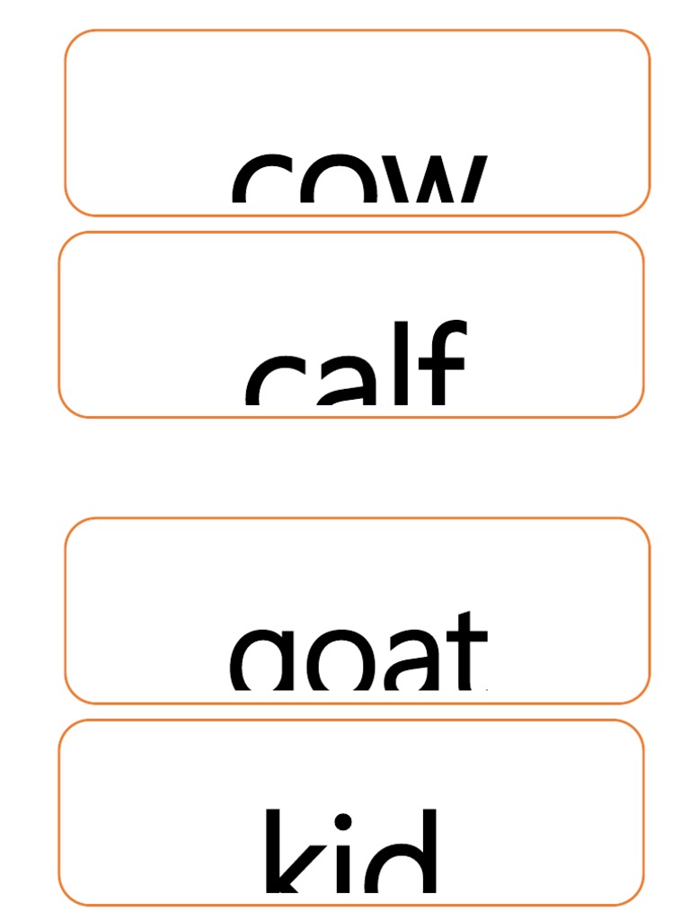 Word Cards | PDF