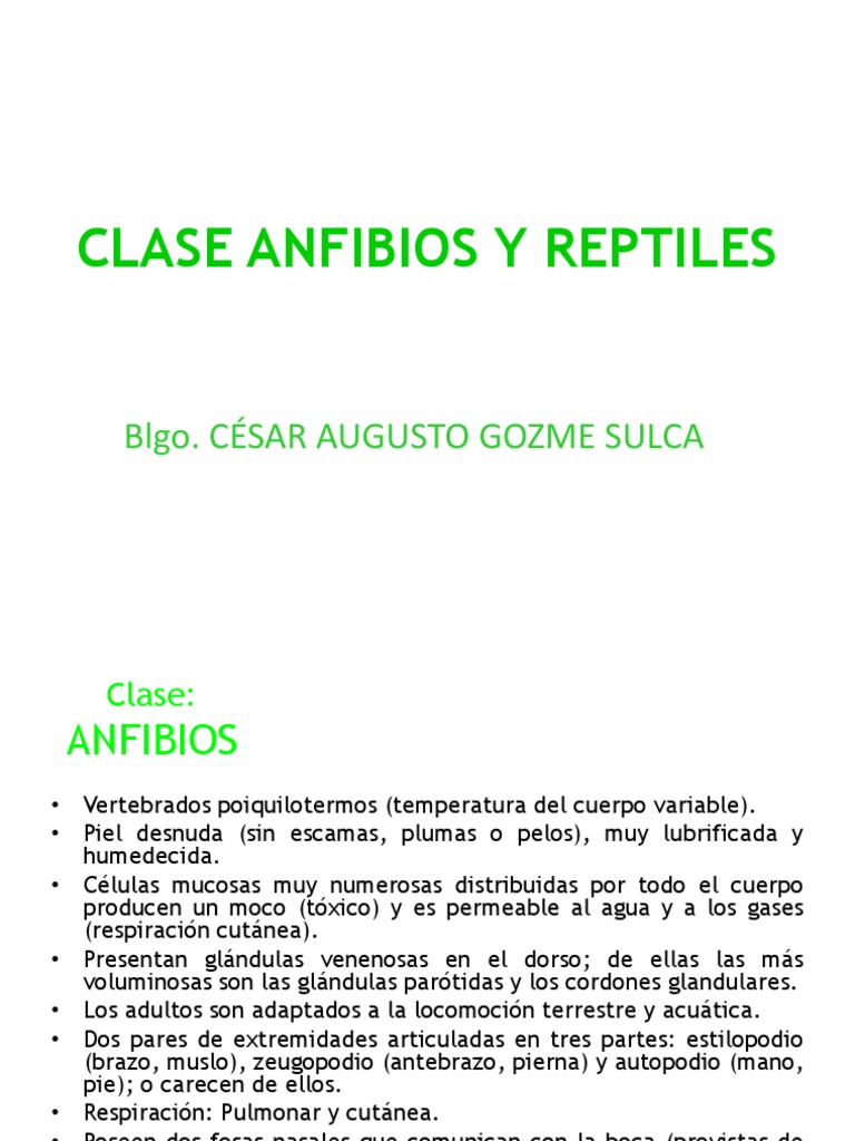 Clasificación de Anfibios y Reptiles | PDF | Rana | Anfibio