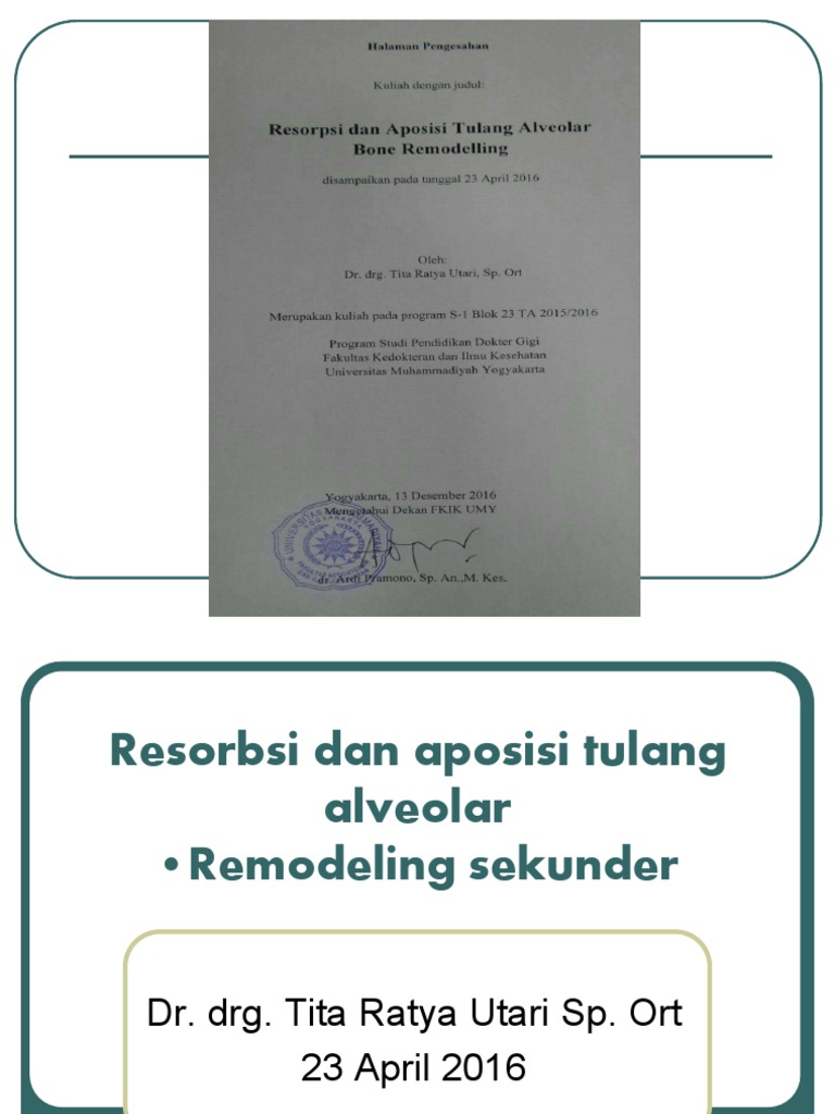 123dok Resorbsi Dan Aposisi Tulang Alveolar Remodeling Sekunder | PDF
