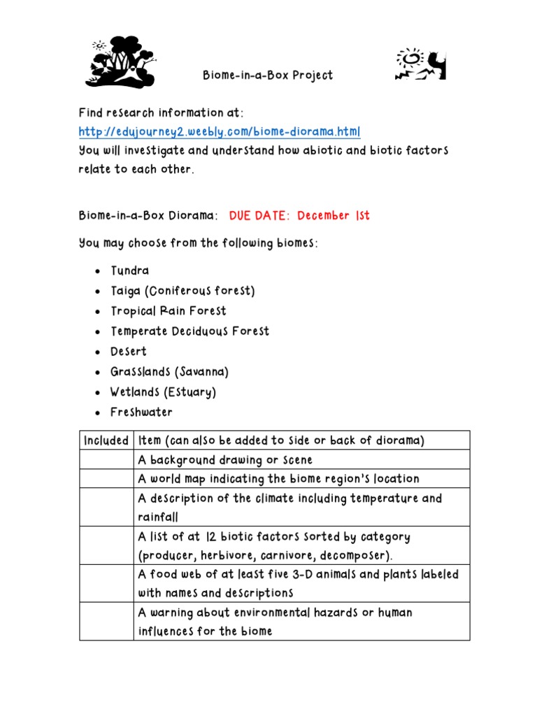 Biome Diorama Project | PDF | Forests | Natural Environment