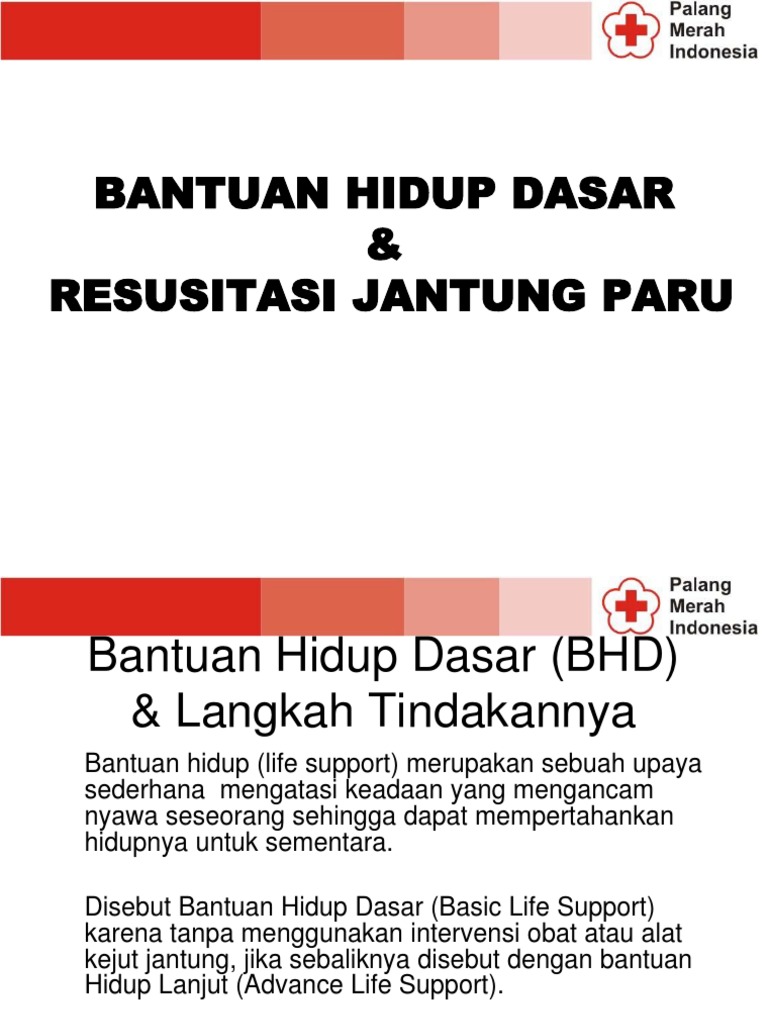 BHD RJP PMI | PDF