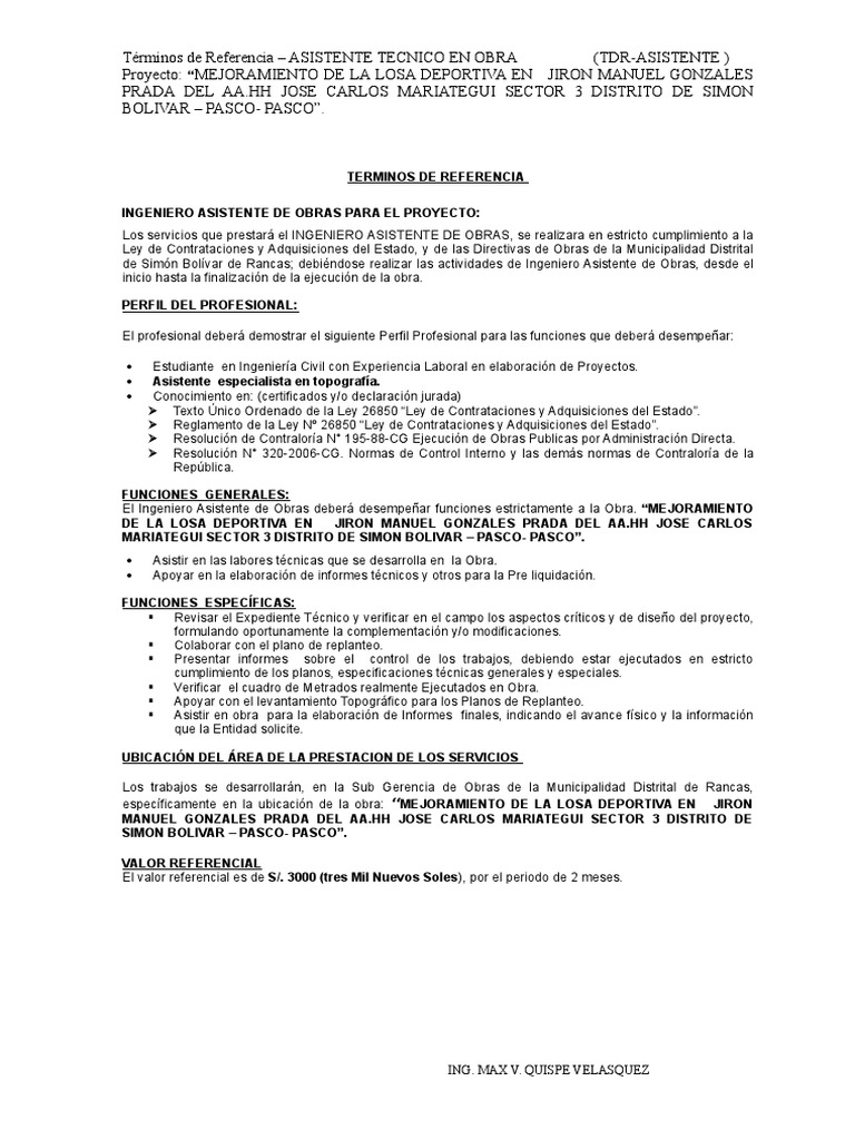 TDR - Asistente Tecnico de Obra | PDF | Ingeniería | Gobierno