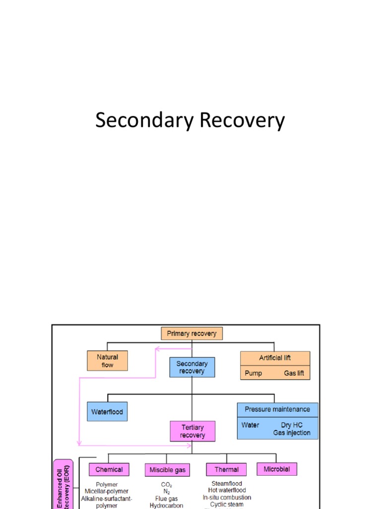 Secondary Recovery | PDF | Enhanced Oil Recovery | Extraction Of Petroleum