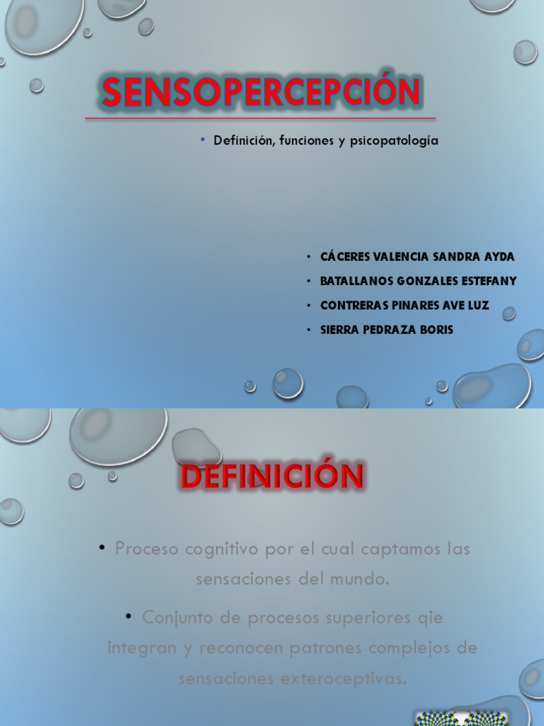 Sensopercepcion Exposicion | PDF | Percepción | Neurociencia