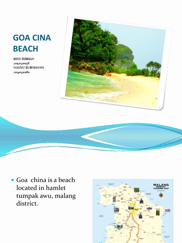 Goa Cina Beach: Travel Guide & Highlights | PDF