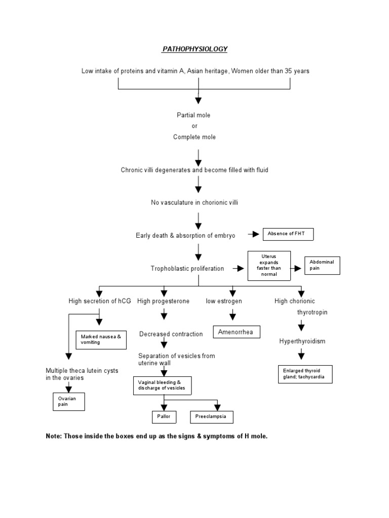 PATHOPHYSIOLOGY-hmole | Human Reproduction | Women's Health