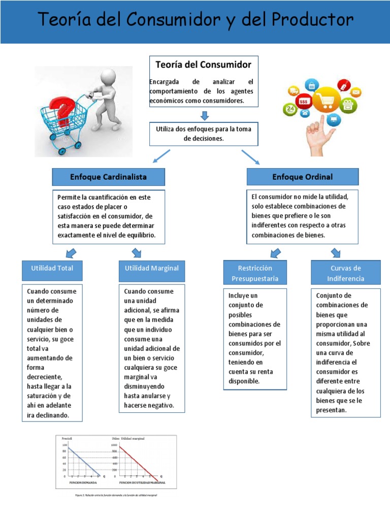 Teoría del consumidor y productor: Entendiendo el comportamiento del ...