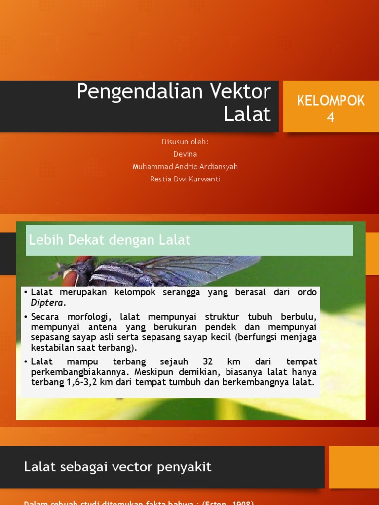 Pengendalian Vektor Lalat | PDF