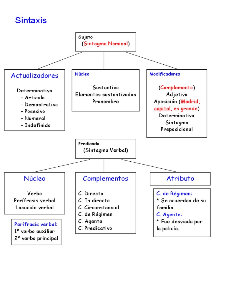 Guía de Sintaxis y Estructura Gramatical | PDF | Asunto (gramática) | Verbo