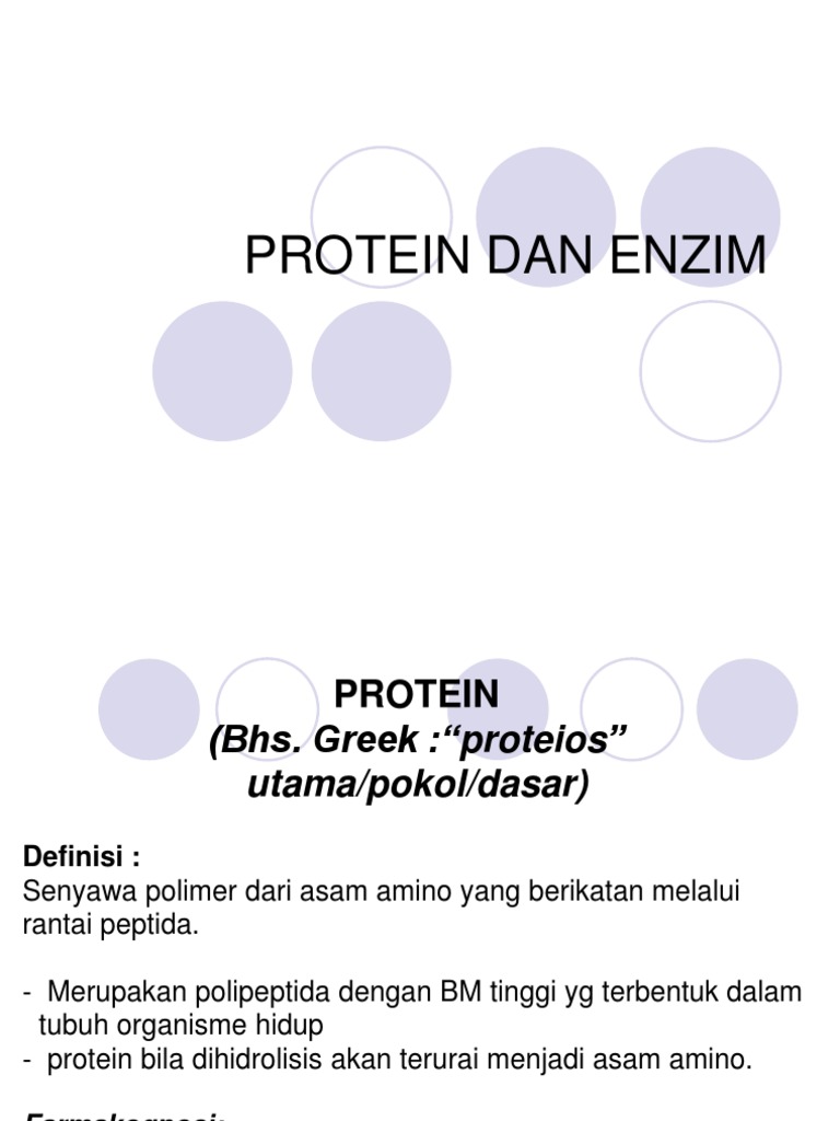 Protein Enzim Plain | PDF | Memasak, Makanan, & Anggur | Kesehatan Holistik