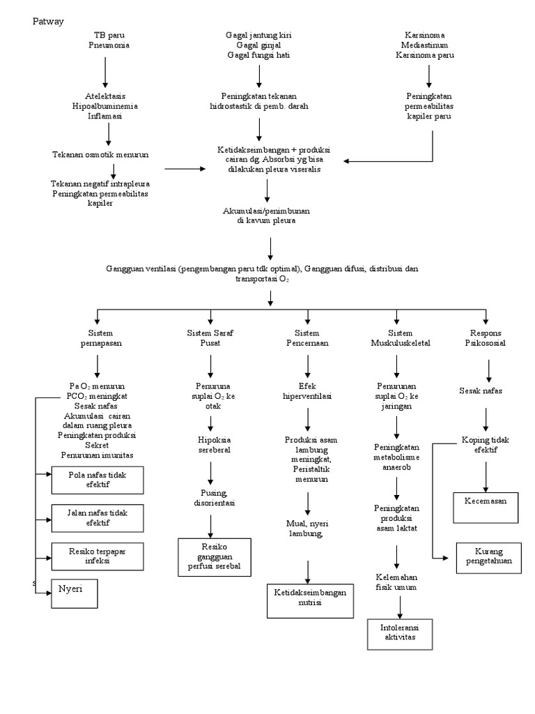 Pathway Efusi Pleura. | PDF