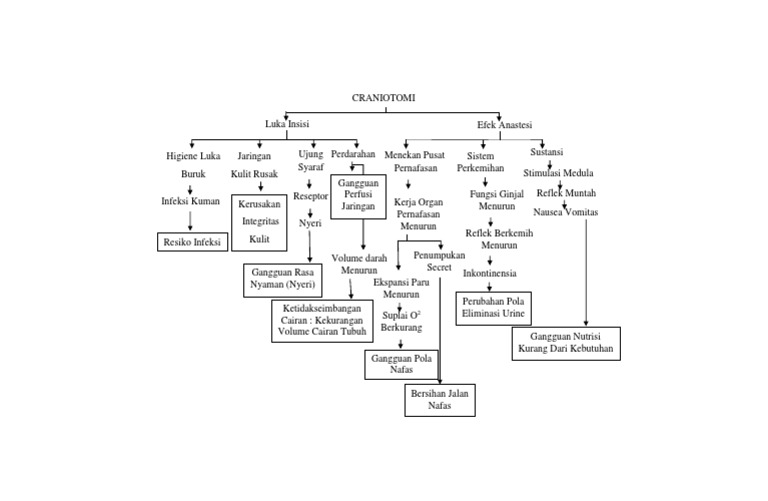 Pathway Craniotomy Mbak Putri | PDF