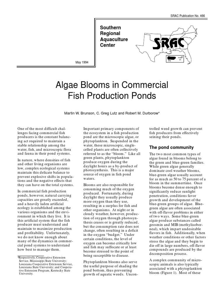 Algae Bloom PDF | PDF | Plankton | Phytoplankton