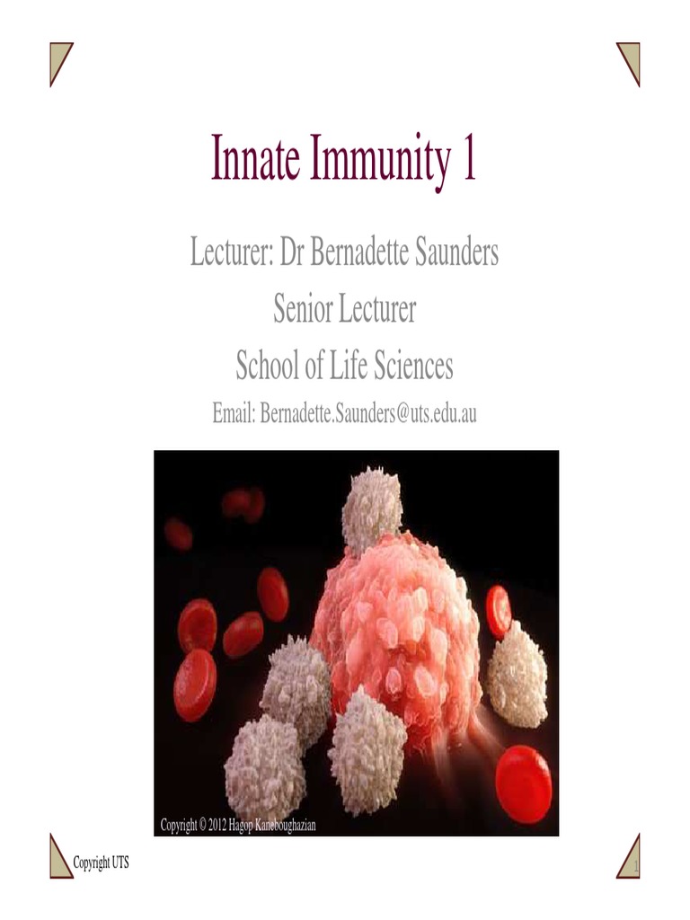 Innate Immunity 1 Revision | PDF | Innate Immune System | Immune System