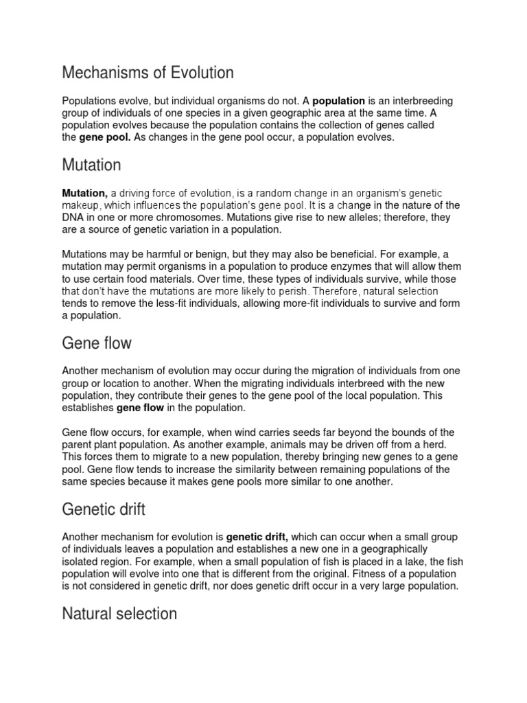 Mechanisms of Evolution | PDF | Natural Selection | Evolution