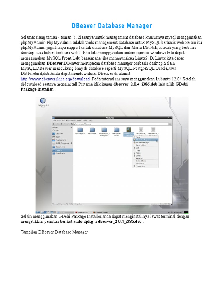 DBeaver Database Manager PDF | PDF