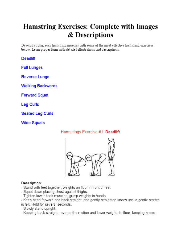 Hams Strength Ing Exercises | PDF | Knee | Foot