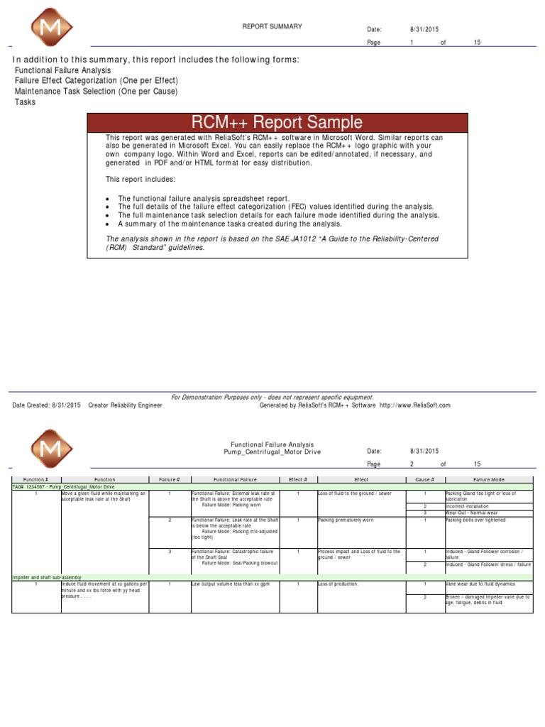 RCM Report Sample | PDF | Reliability Engineering | Risk