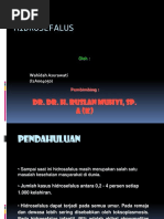 Refka Meningitis | PDF
