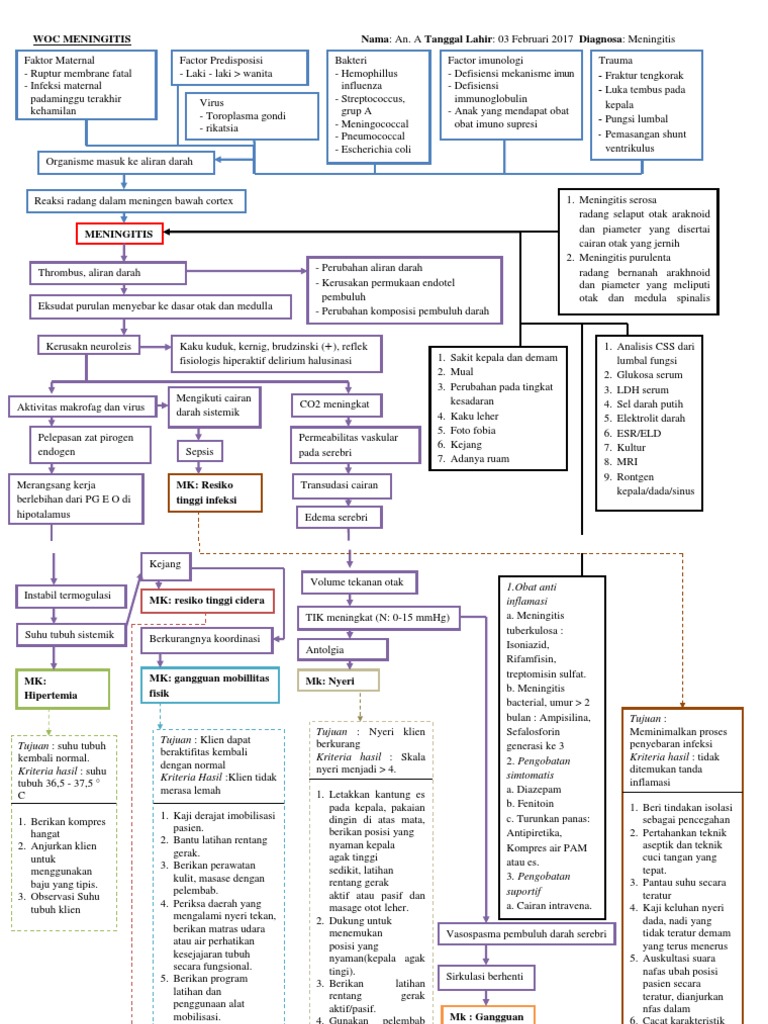 Woc Meningitis | PDF