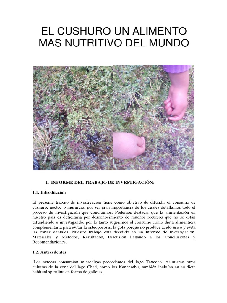 Cushuro | PDF | Cianobacterias | Algas