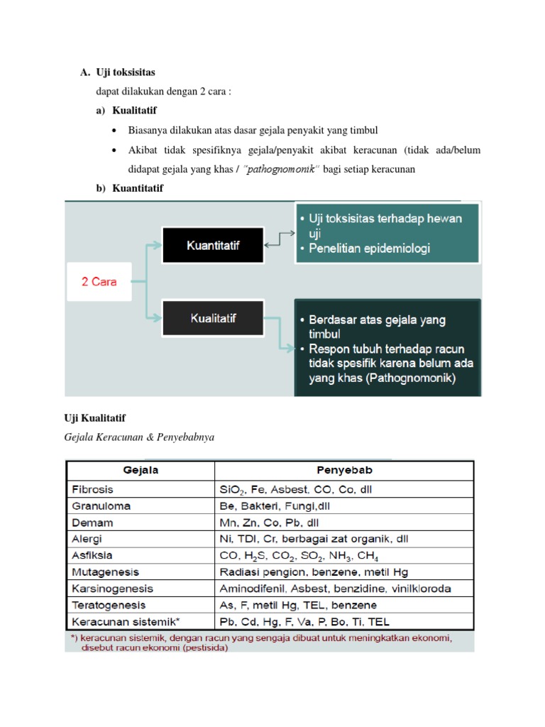 Uji Toksisitas | PDF