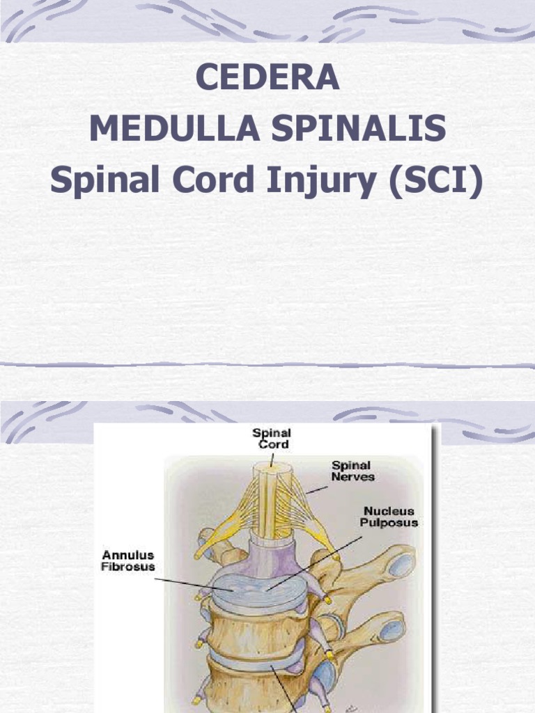 Klasifikasi dan Penanganan Cedera Medulla Spinalis | PDF