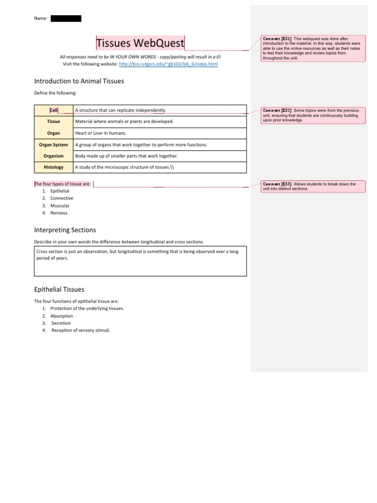 Tissue Webquest Student Example | PDF | Epithelium | Tissue (Biology)