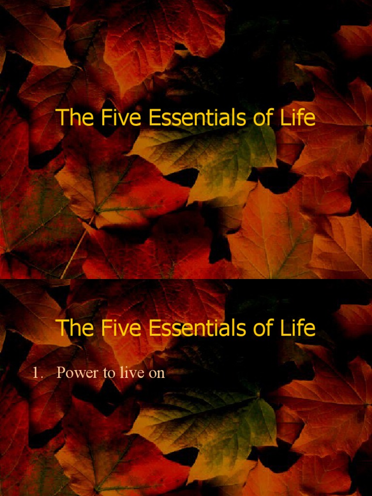 The Five Essentials of Life | PDF | Religious Belief And Doctrine ...