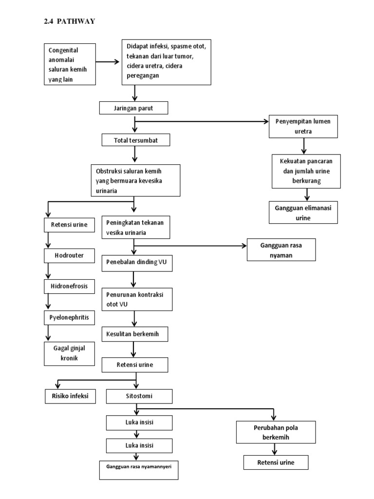 PATHWAY Kista Ovarium | PDF