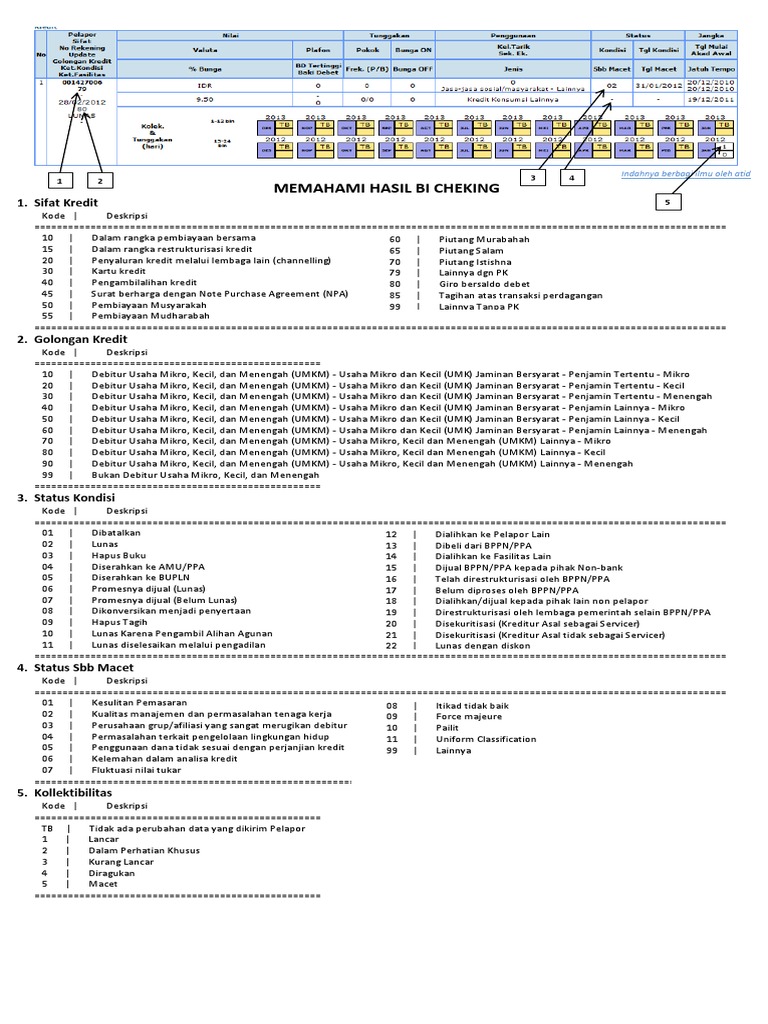 Memahami Hasil BI CHEKING-3 | PDF