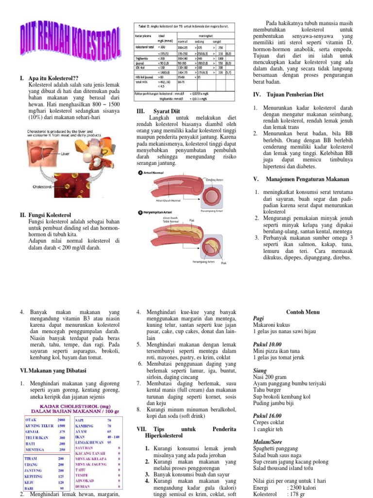 Leaflet Diet Rendah Kolesterol