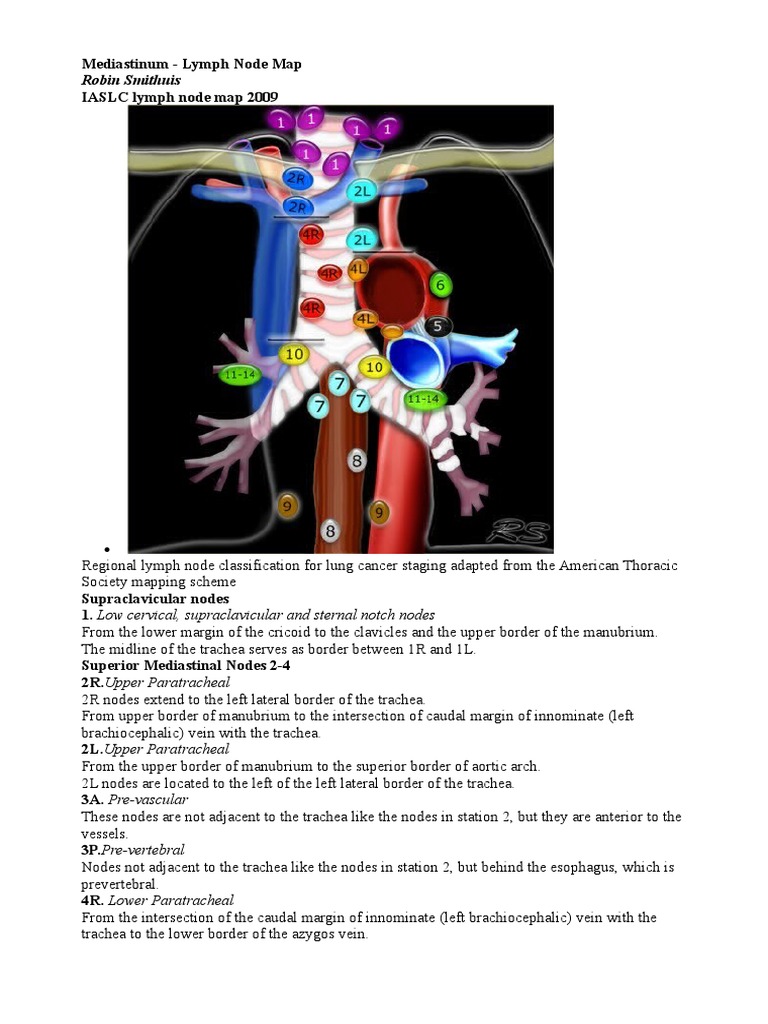 Mediastinum - Lymph Node Map | PDF | Aorta | Lung