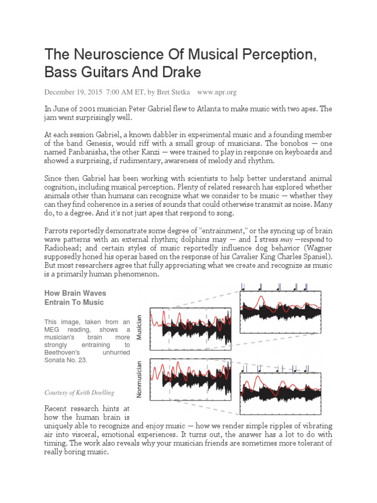The Neuroscience of Musical Perception | PDF | Perception ...