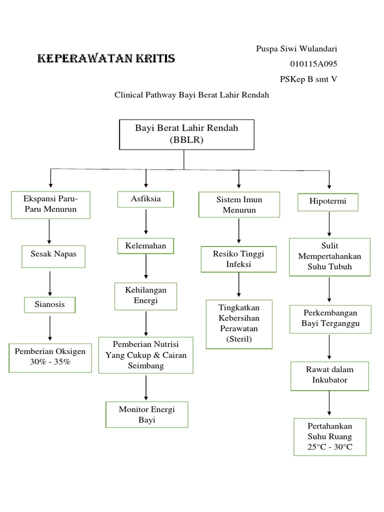 Clinical Pathway BBLR | PDF