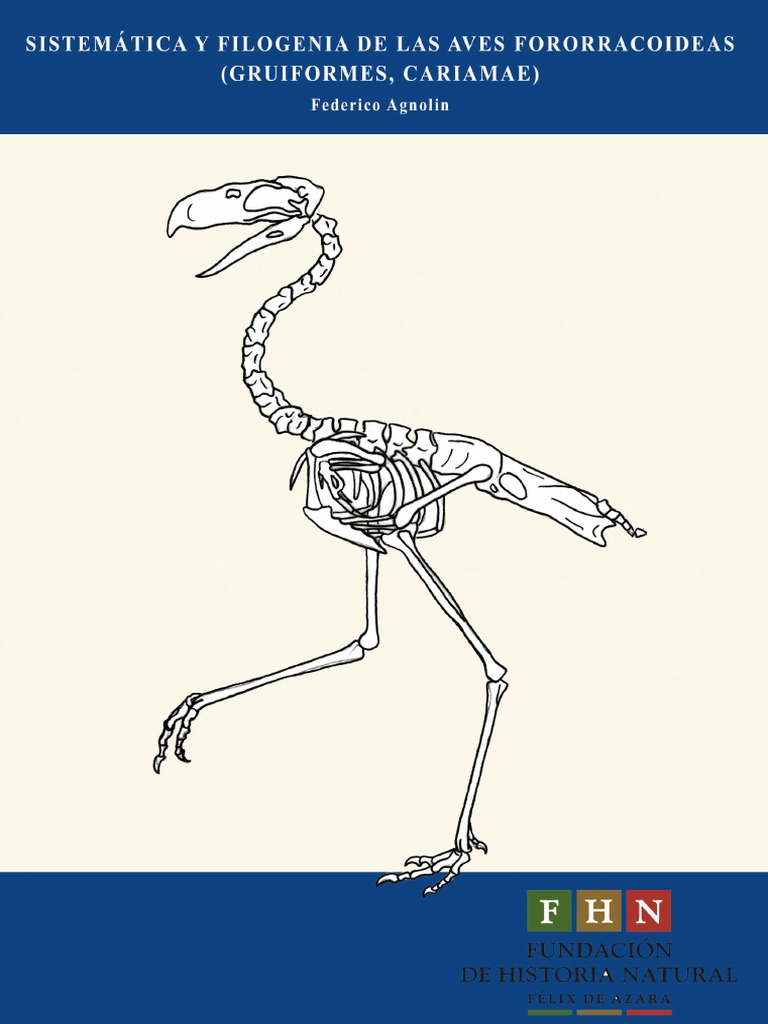 Sistematica y Filogenia de Aves Fororracoideas | PDF | Taxonomía (biología) | Aves